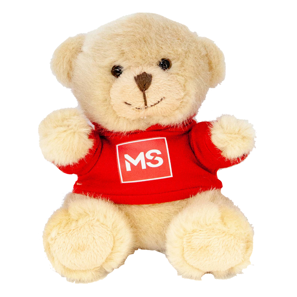 BERNARD BEAR – MS PLUS